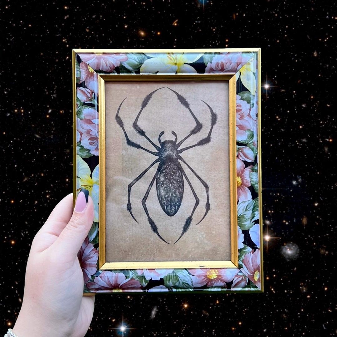 Original Hand Drawn Golden Orb Weaver Spider - Etsy