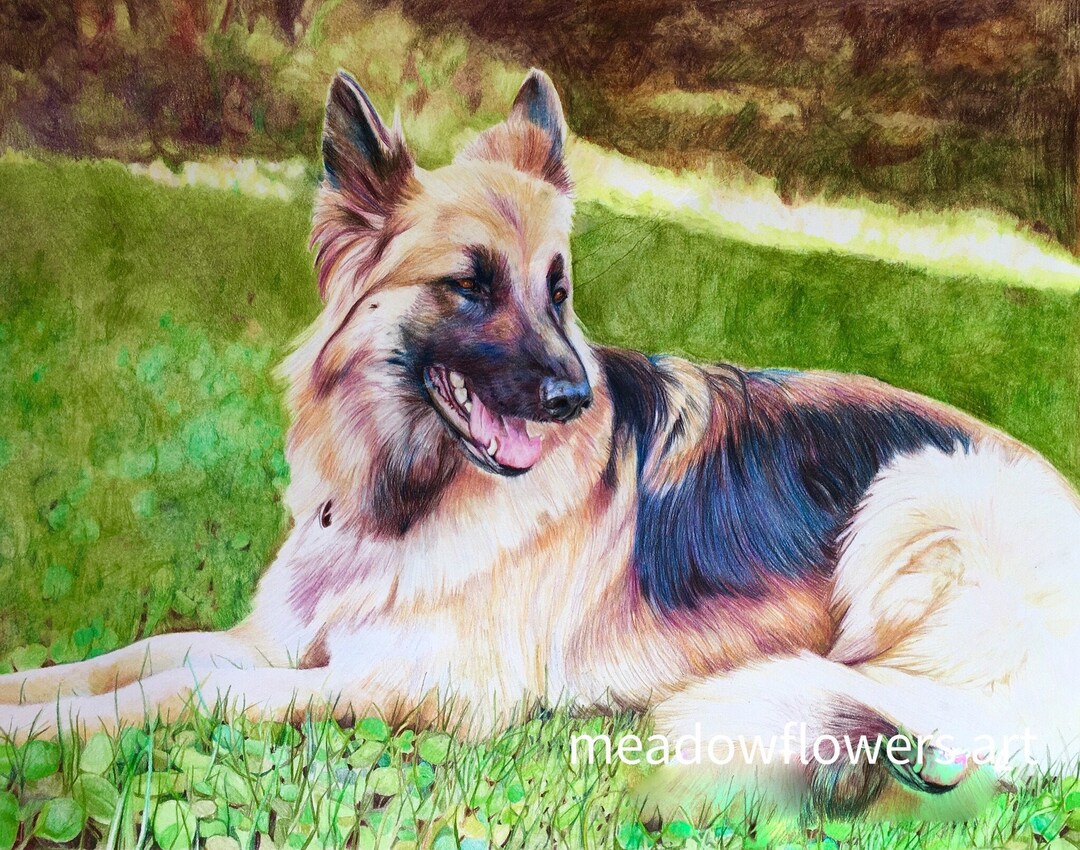 Custom Portrait of Pet, Pet Memorial Drawing, Pet Loss Gift, Dog Mom ...