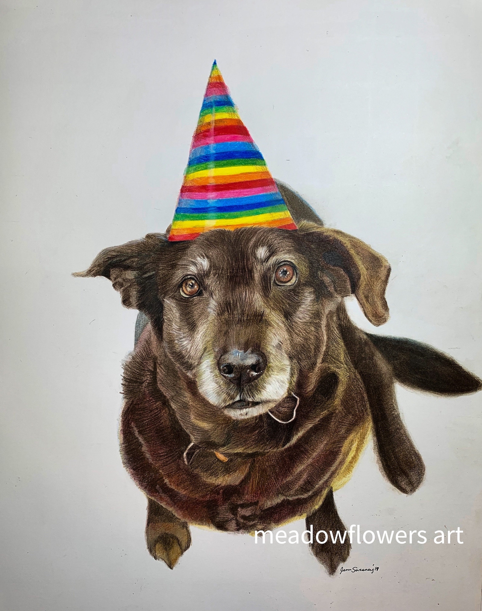 Custom Portrait of Pet, Pet Memorial Drawing, Pet Loss Gift, Dog Mom ...