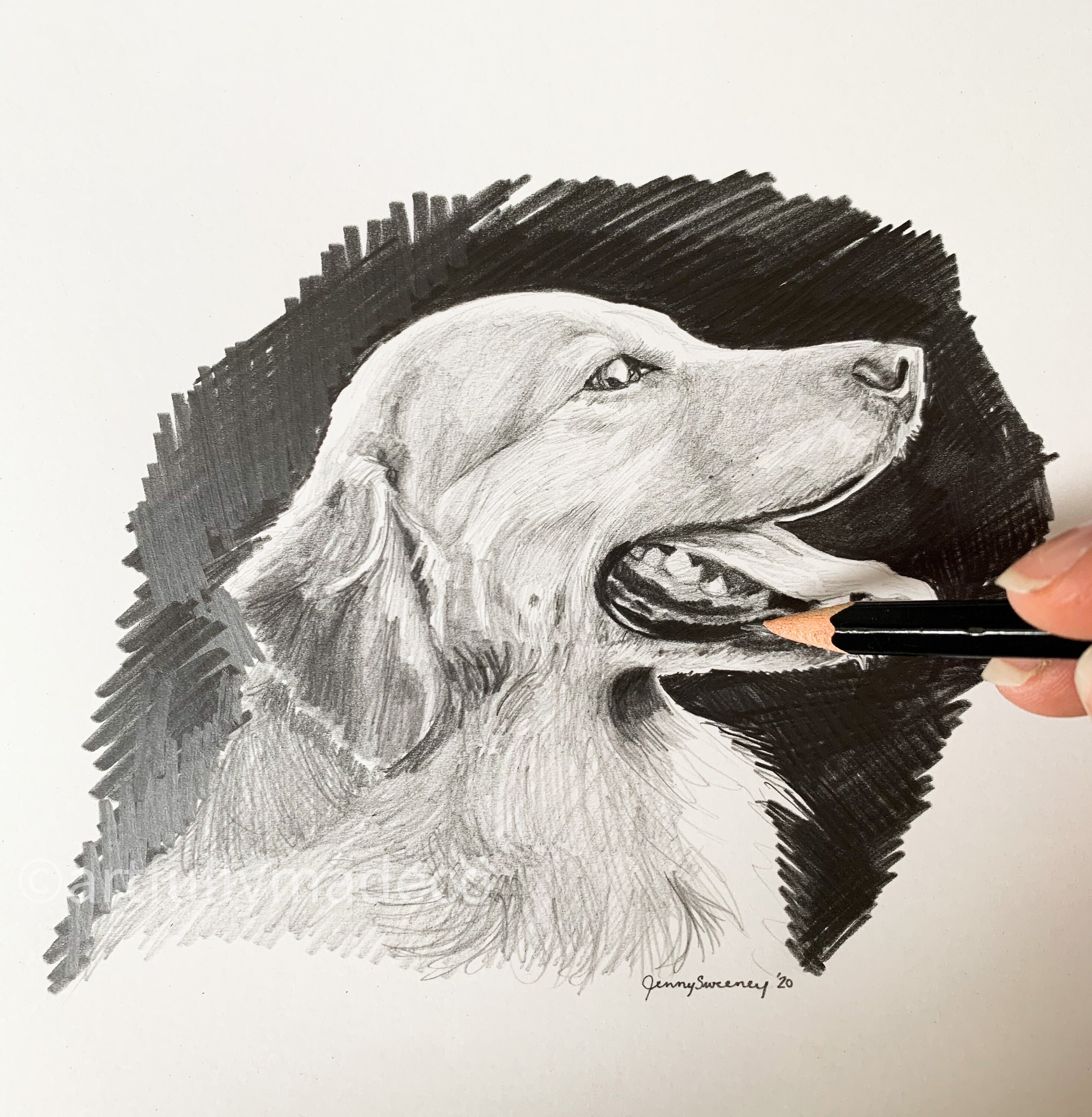 Custom Dog Portrait Memorial Drawing From Your Photo, Pet Loss Gift ...