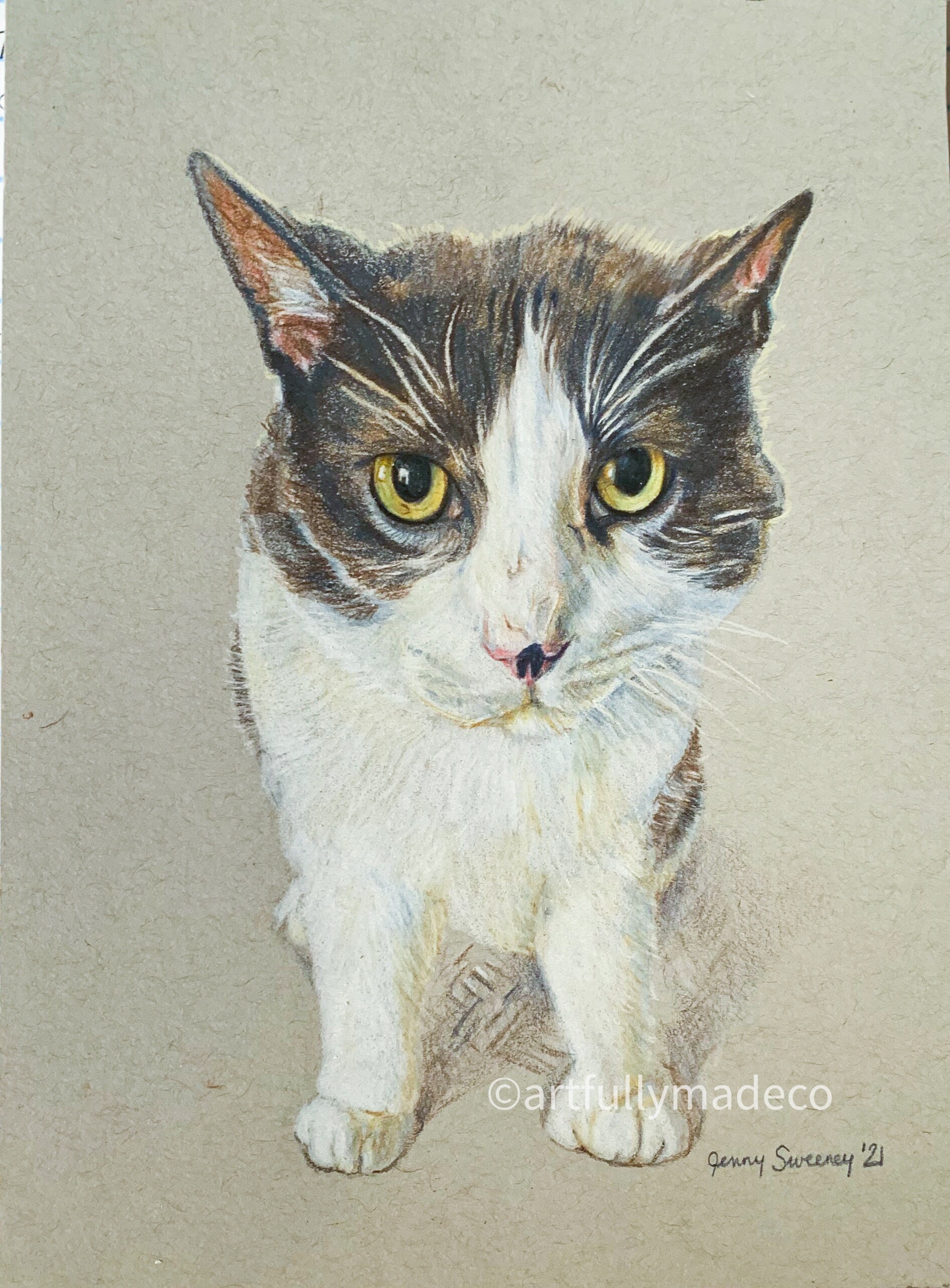 Custom Portrait of Cat, Cat Drawing, Cat Memorial Drawing, Cat Mom, Art ...