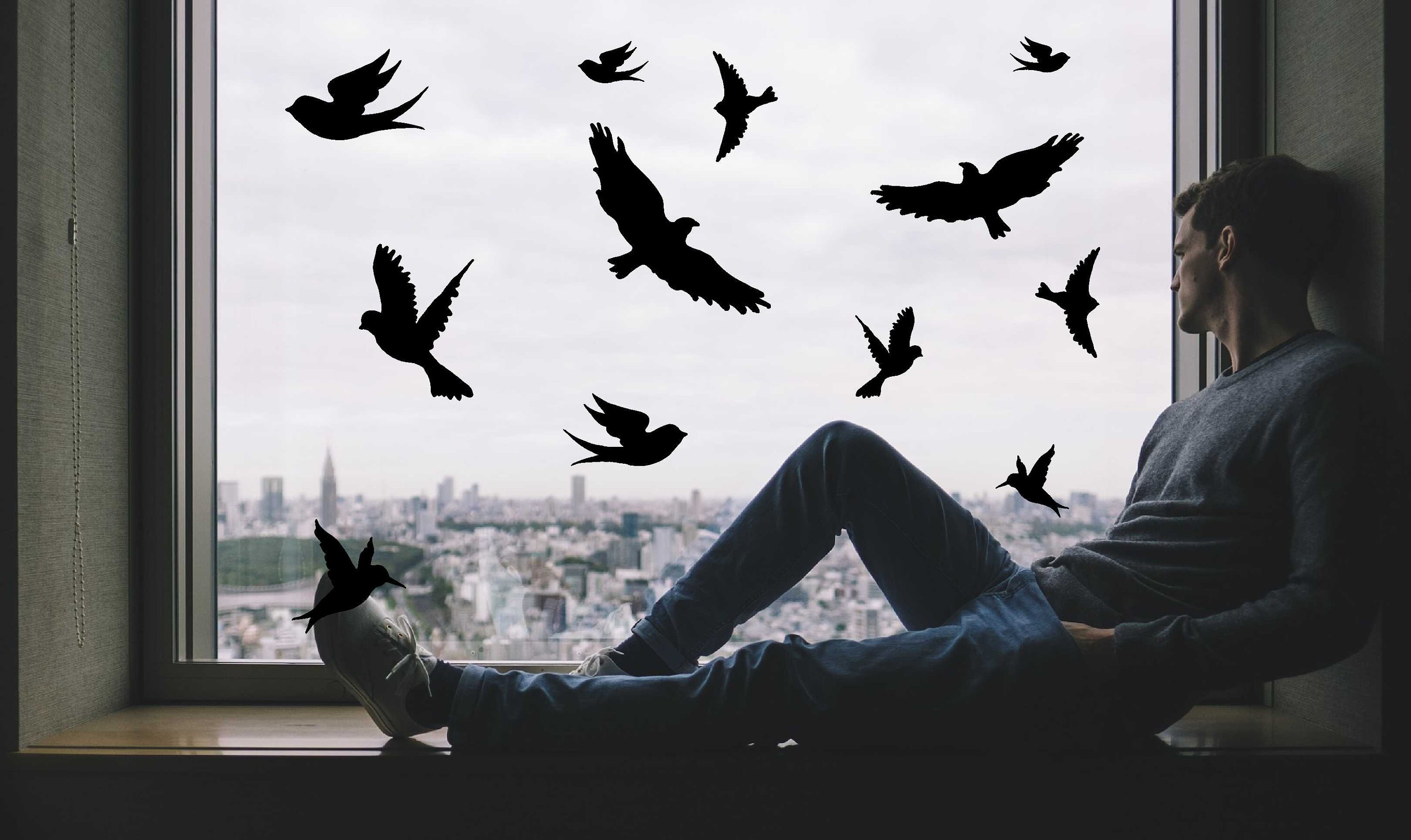 Window Sticker Birds Window Sticker Wall Sticker Bird Protection Bird ...