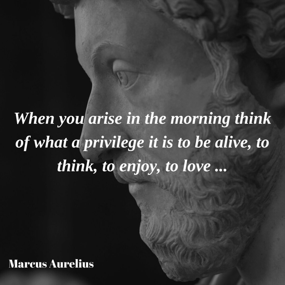 Marcus Aurelius Morning Stoic Quote Mug Etsy