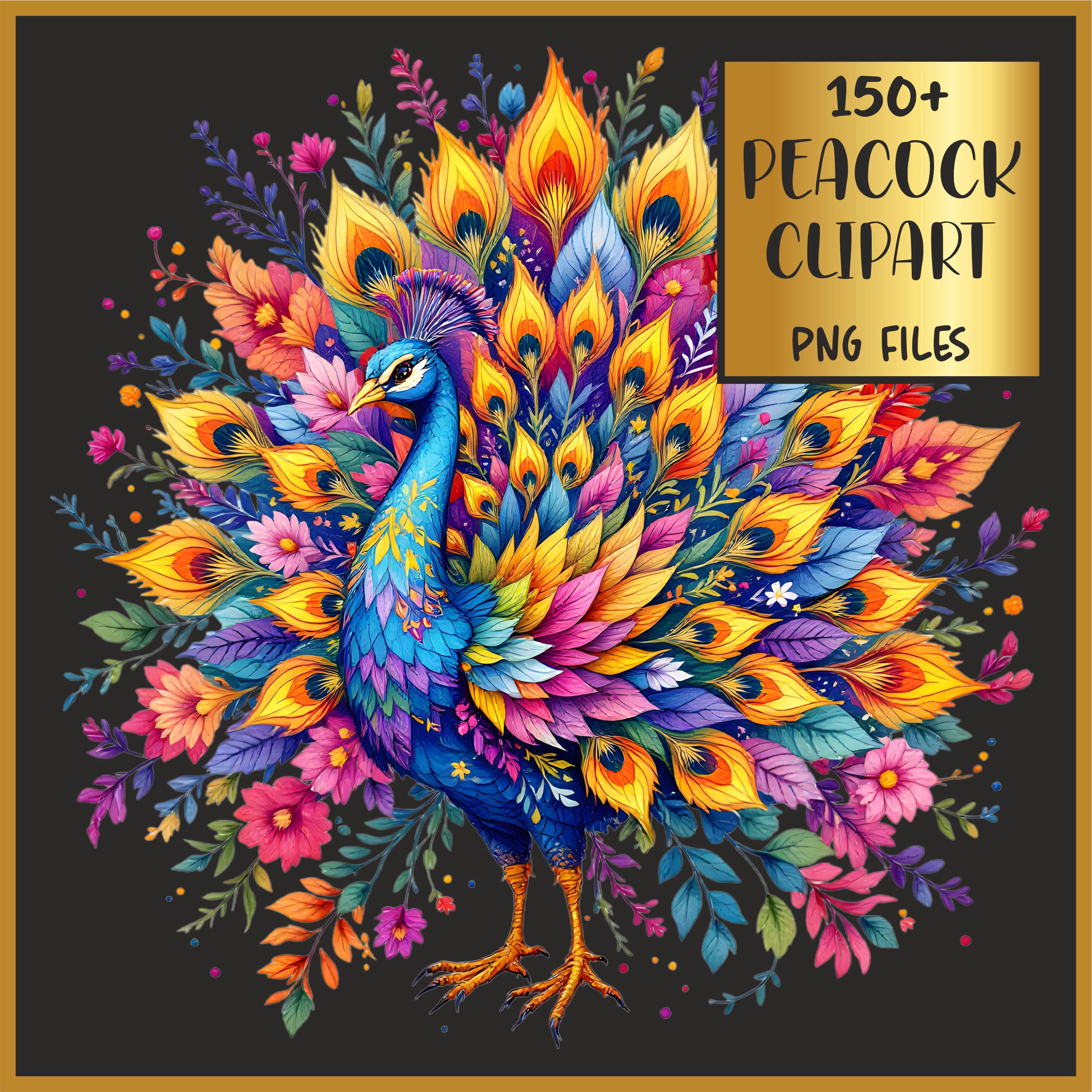 Watercolor Peacock Clipart Set – 150+ Colorful Bird and Flower PNG ...