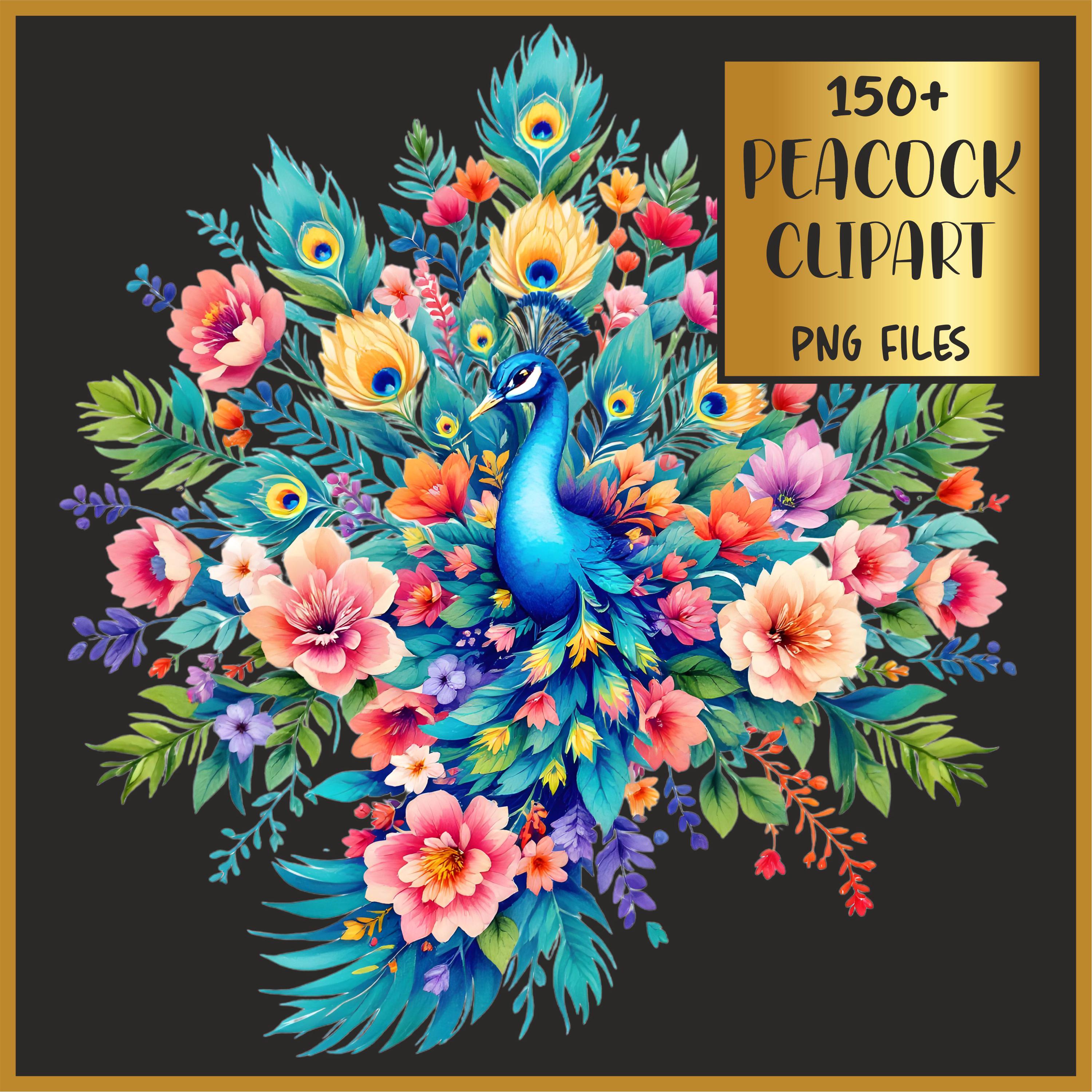 Watercolor Peacock Clipart Set – 150+ Colorful Bird and Flower PNG ...