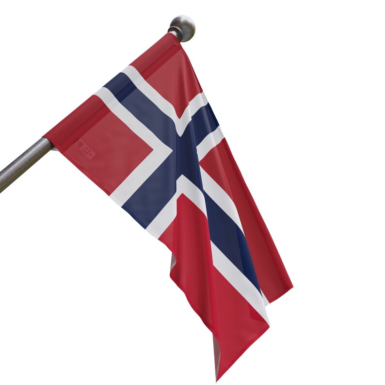 Norwegian Flag Norway Flag May 17th Decorations Syttende Mai Party Supplies Norway Fest ...