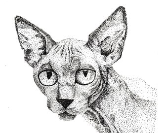 Sphynx Cat Art Print - Etsy