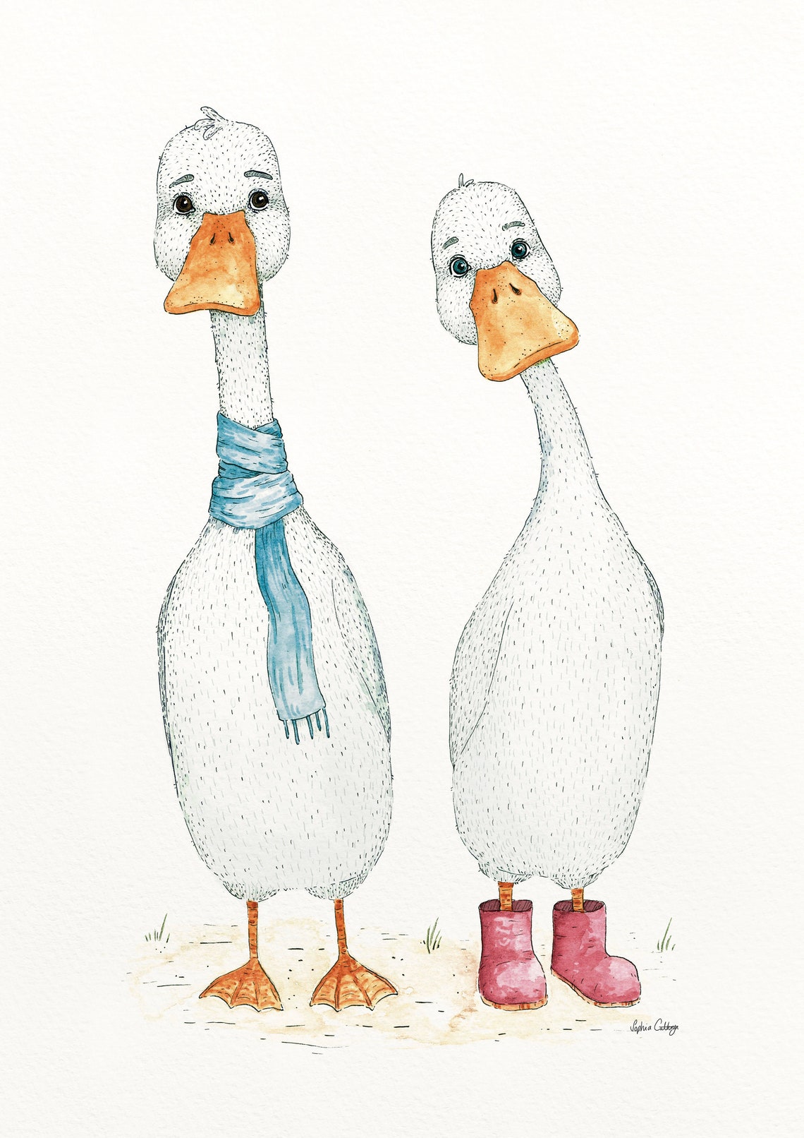 Two Cute Ducks A4 Watercolour Print | Etsy