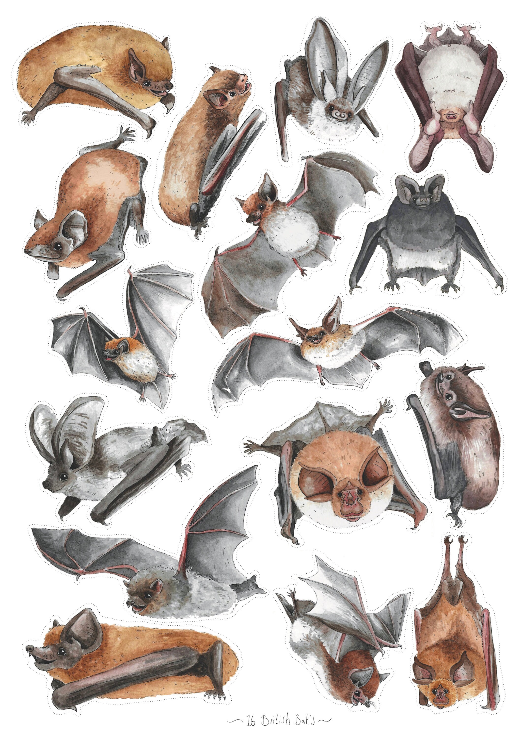 British Bats Stickers | Etsy UK
