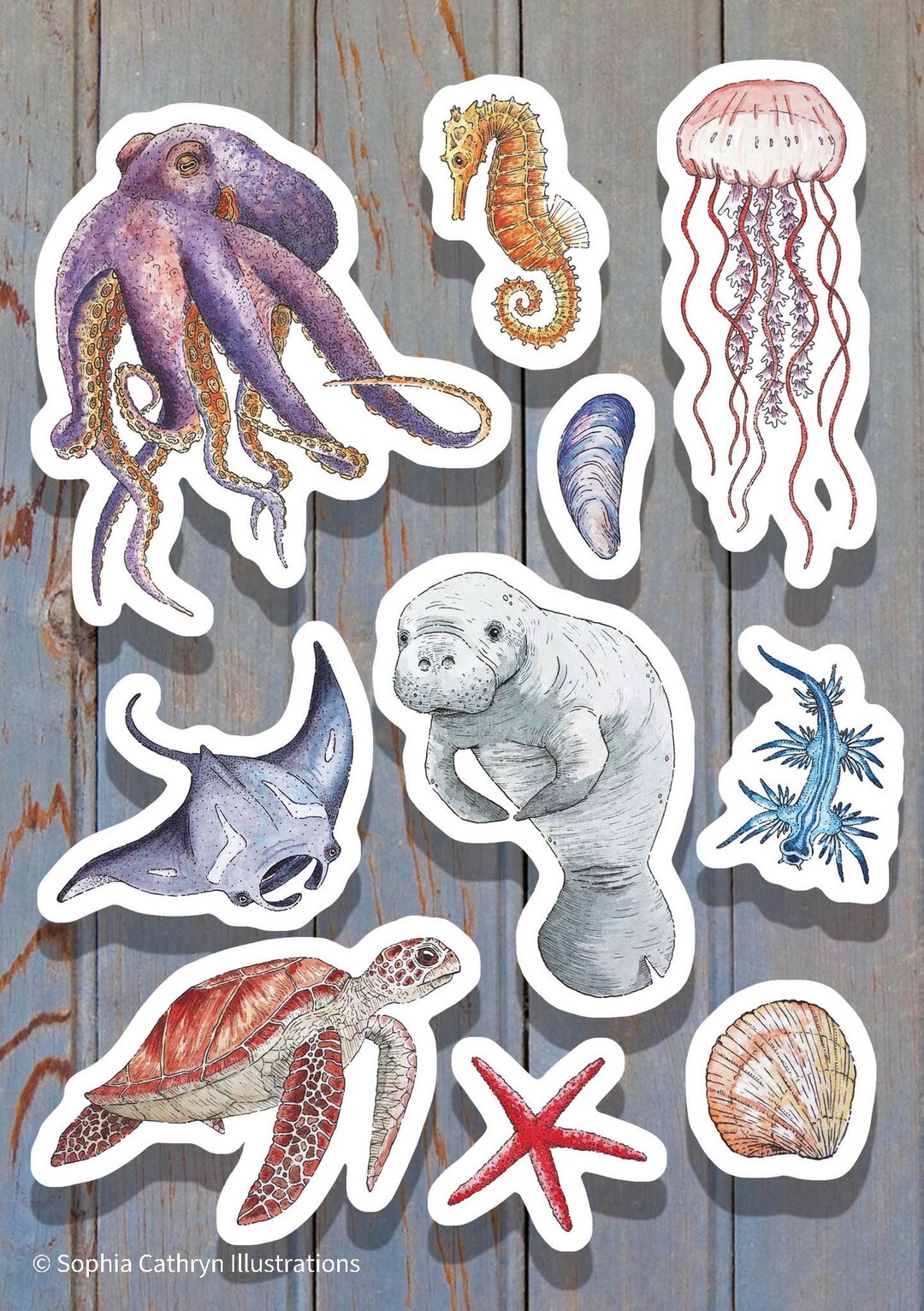 10 Cute Sea Life Stickers - Etsy