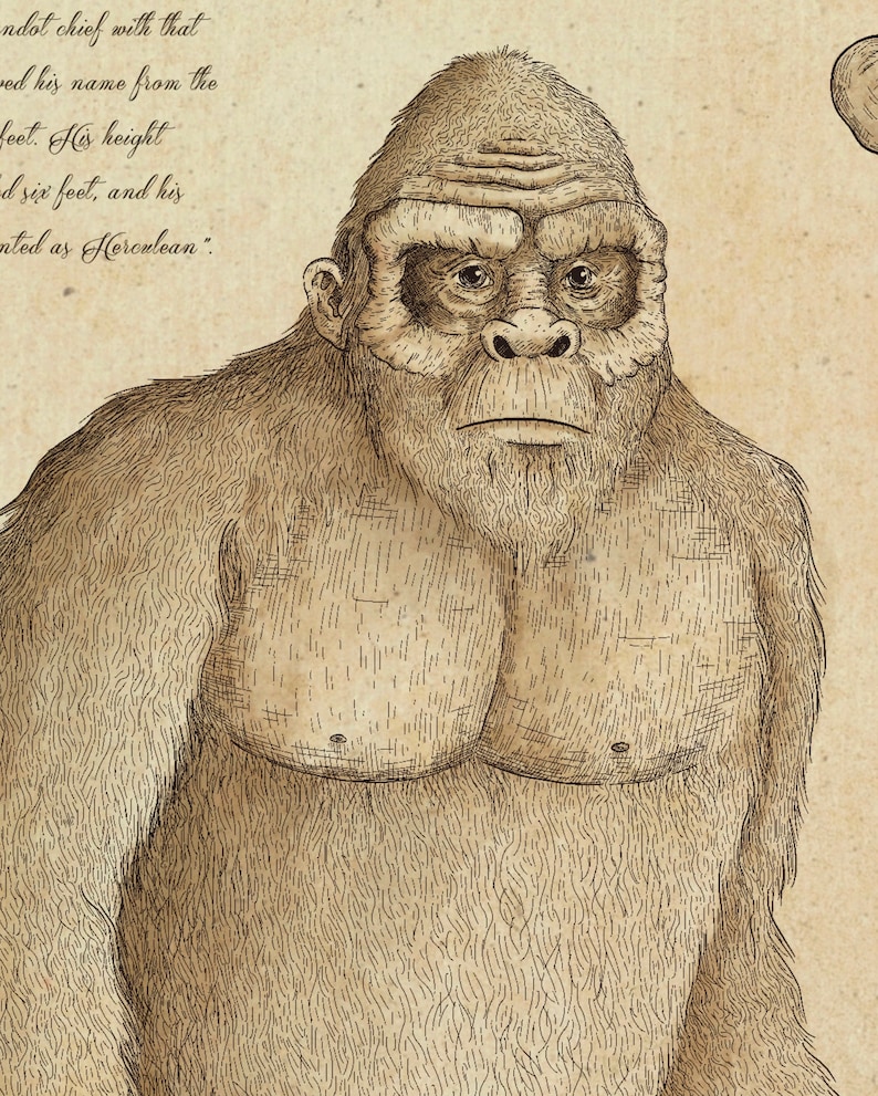 Bigfoot // Sasquatch Print - Etsy UK