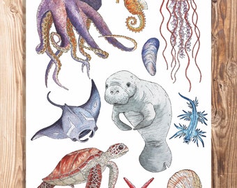 Printable Ocean Marine Life Print Digital Download Vintage - Etsy