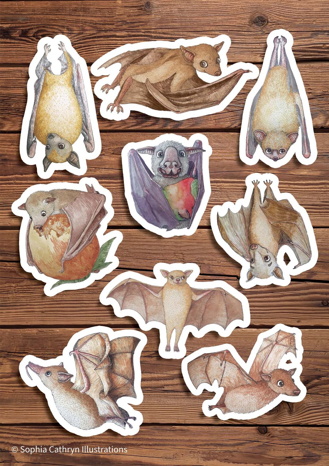 African Fruit Bats - Stickers - Etsy