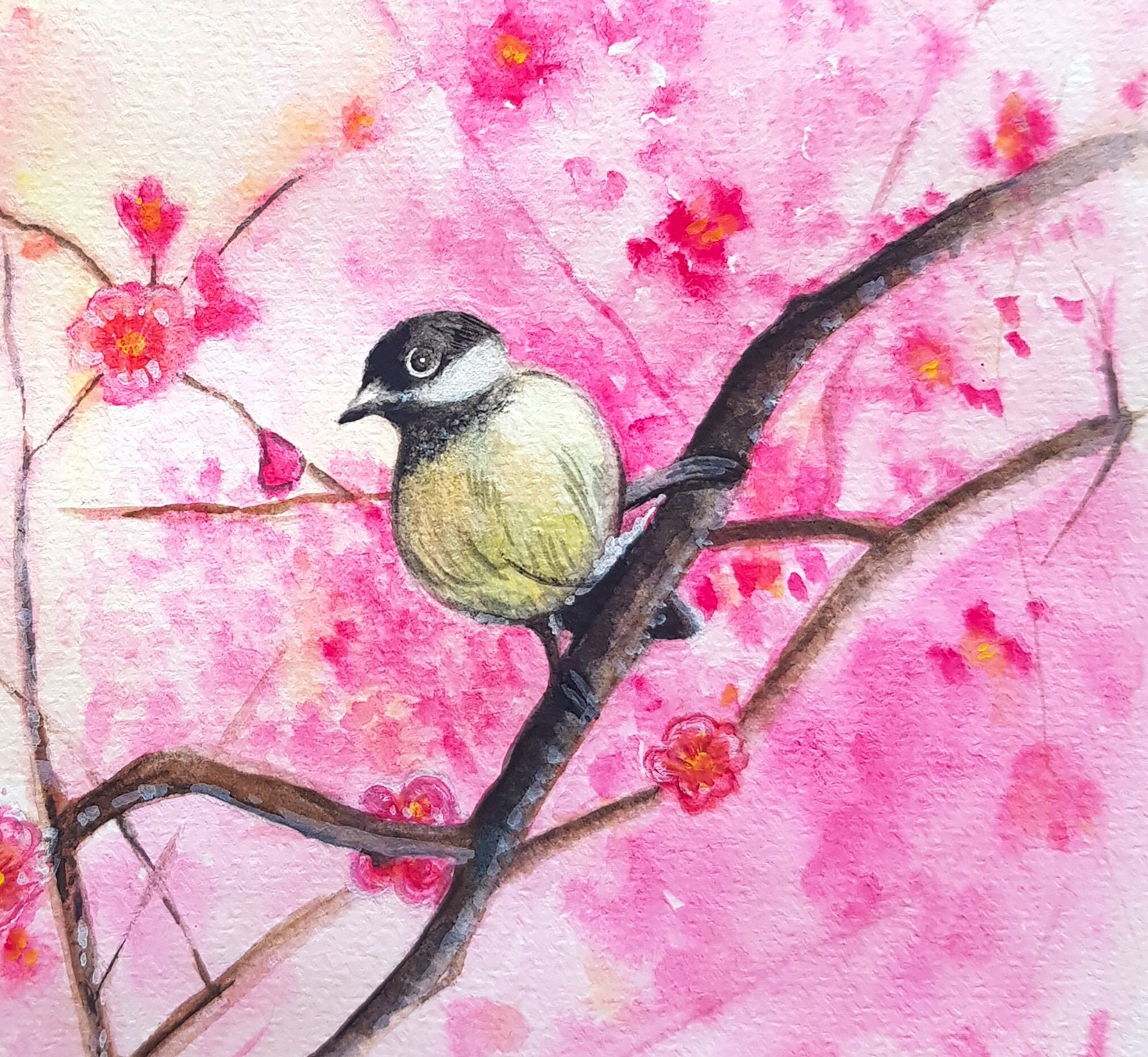Cherry Blossoms, Spring Season, Sakura Flowers, Bird Painting, Pink ...
