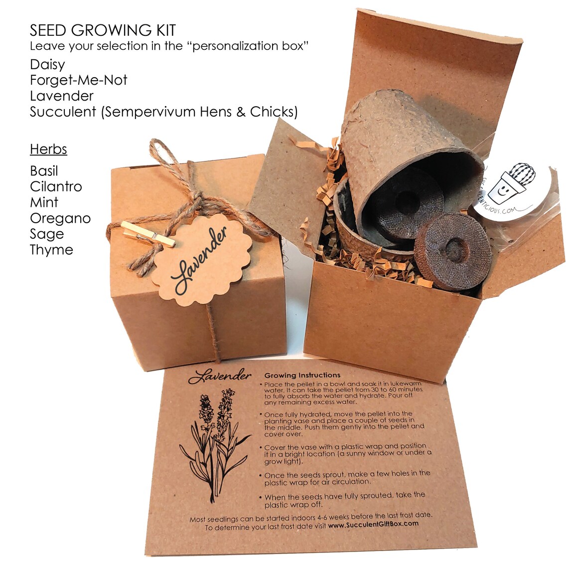 Care Package Friend Gift Box Pedicure Kit Succulent Gift Box - Etsy