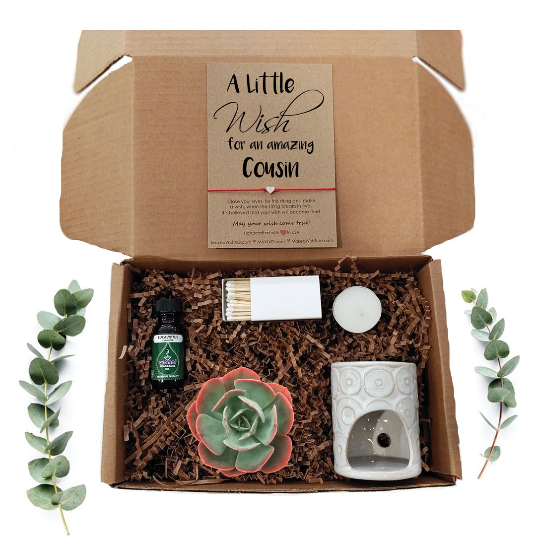 Cousin Gifts, Succulent Gift Box, Cousin Gift Box, Gift for Cousin ...