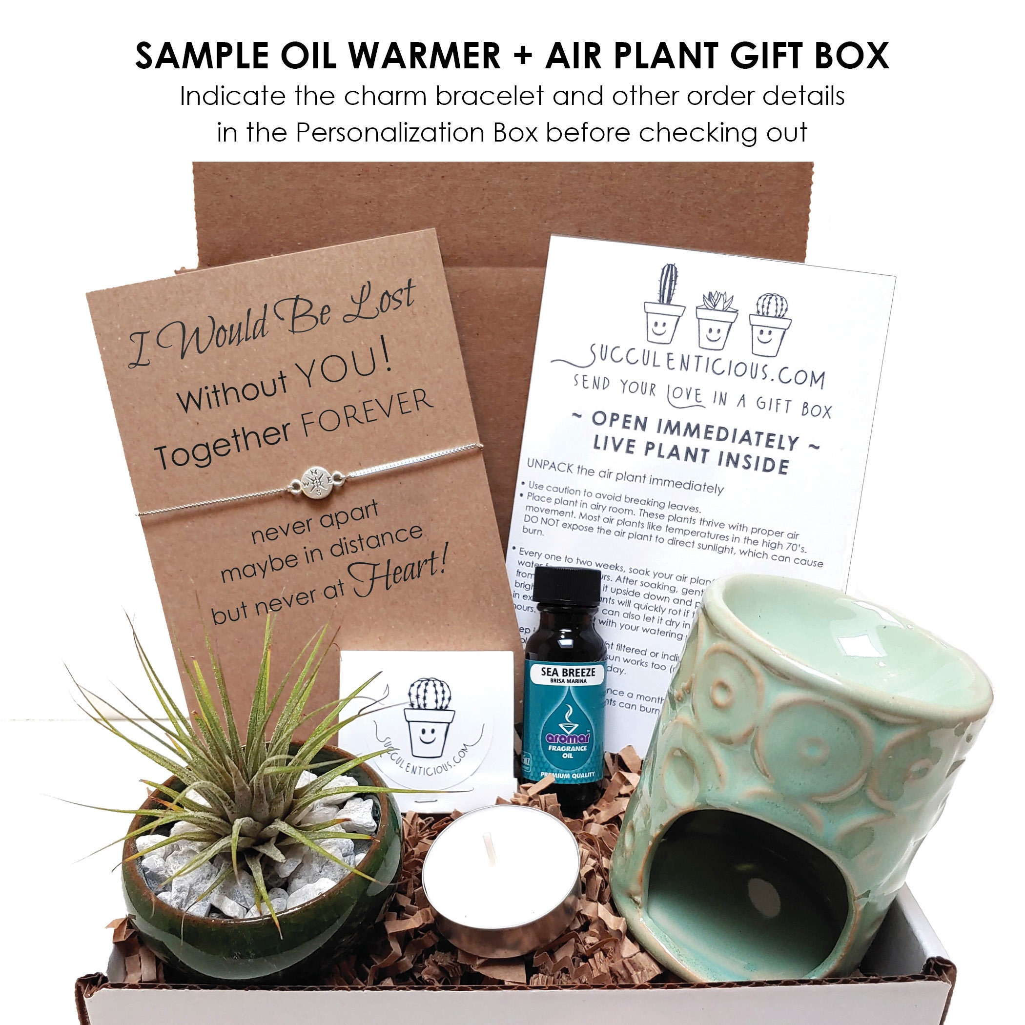 Goddaughter Gift, Goddaughter Gift Box, Succulent Gift Box, Gift for ...