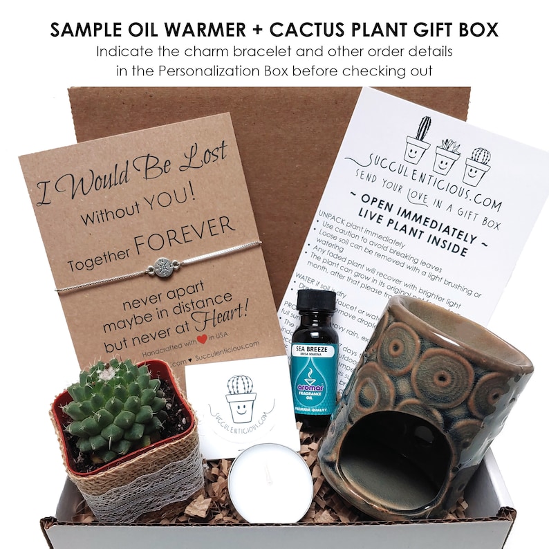 Long Distance Friend Gift Box Thinking of You Succulent Gift - Etsy