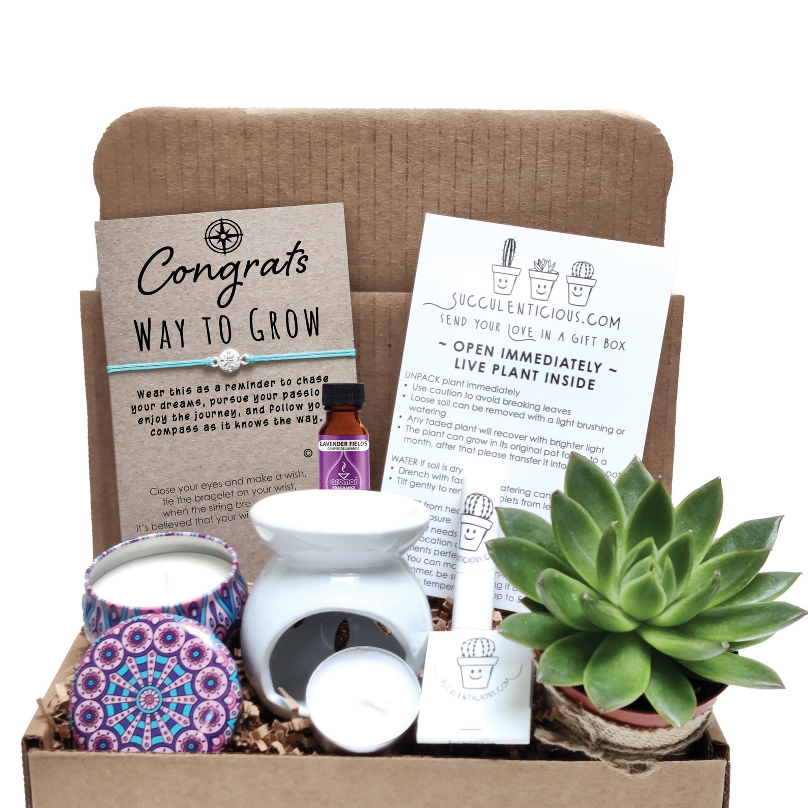 Congratulations Gift, New Job Gift Promotion Gift Box Succulent Gift ...