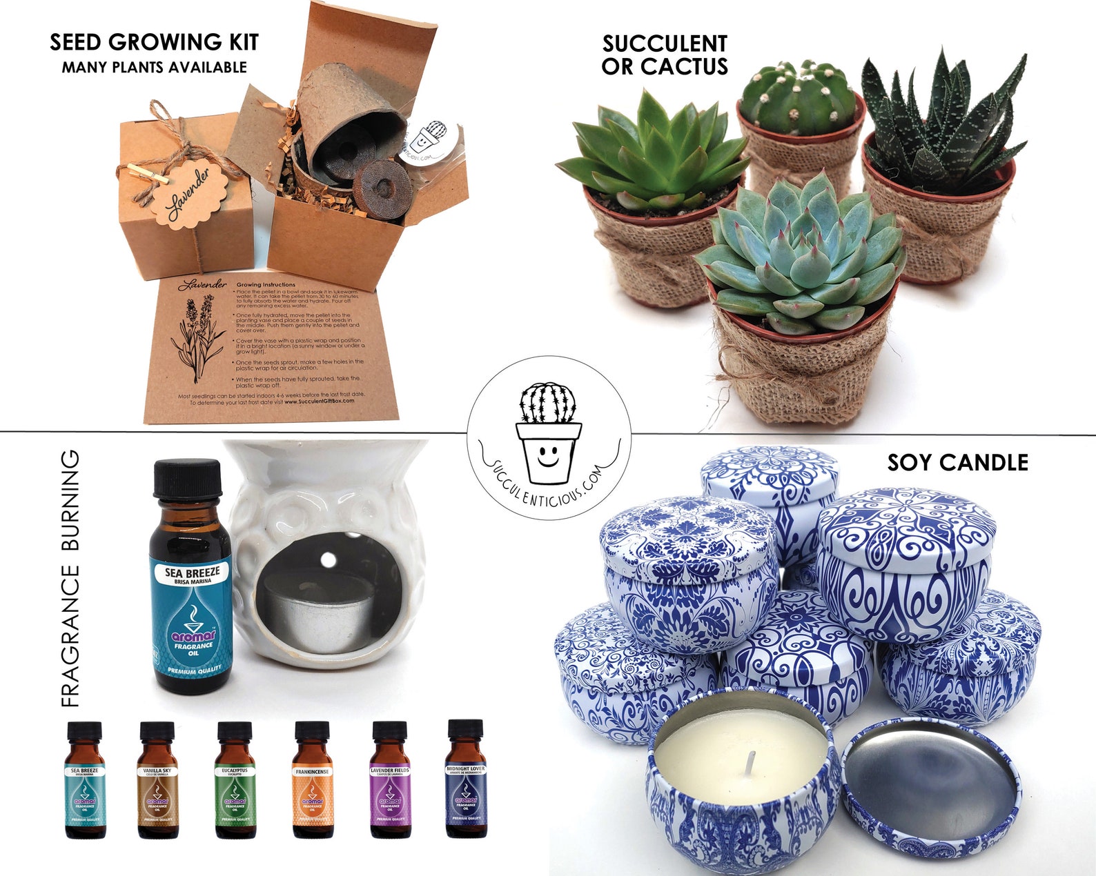 Care Package Friend Gift Box, Pedicure Kit, Succulent Gift Box or Seed ...