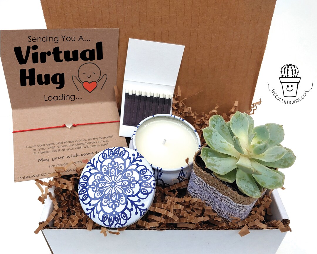 Quarantine Gift Box, Virtual Hug Gift Box, Succulent Gift Box, Best ...