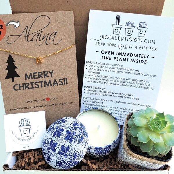Succulent Gift - 60+ Gift Ideas for 2025