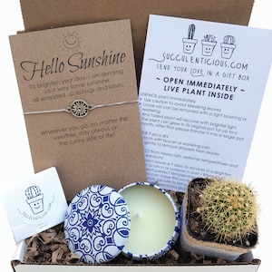 Hello Sunshine, Care Package Friend, Self Care Gift Box, Succulent Gift ...