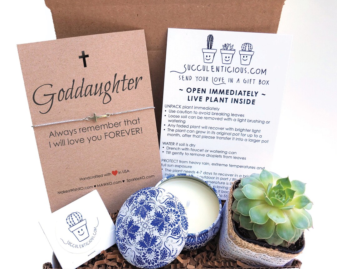 Goddaughter Gift, Goddaughter Gift Box, Succulent Gift Box, Gift for ...