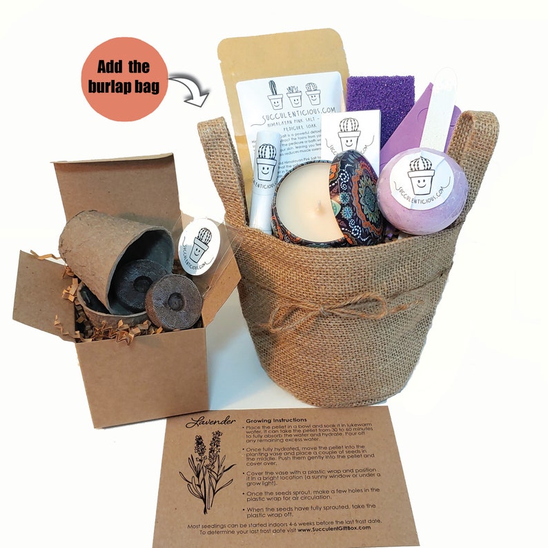 Care Package Friend Gift Box Pedicure Kit Succulent Gift Box - Etsy
