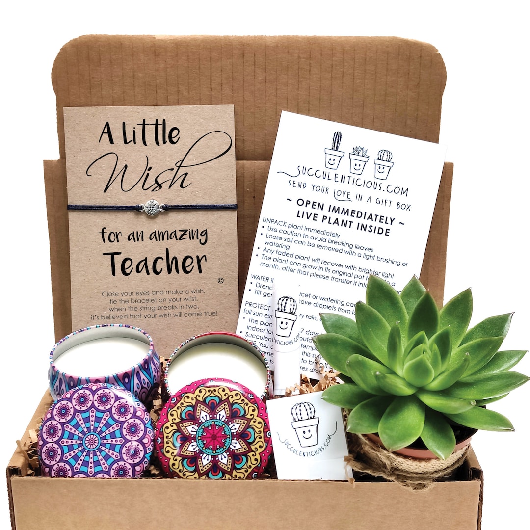 Teacher Gift Box for Teacher Care Package for Teacher Succulent Gift ...
