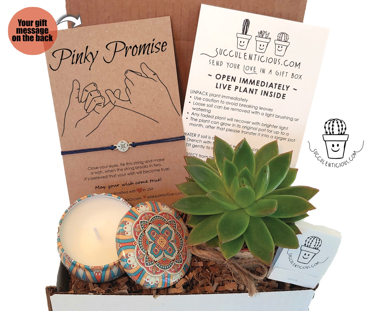 Pinky Promise Gift Box, Best Friend Gift for Friend, Natural Succulents ...
