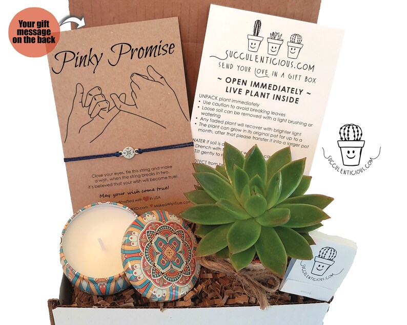 Pinky Promise Gift Box, Best Friend Gift for Friend, Natural Succulents ...