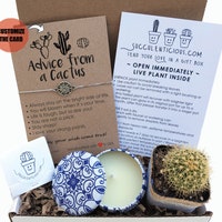 Cactus Gift - 60+ Gift Ideas for 2025