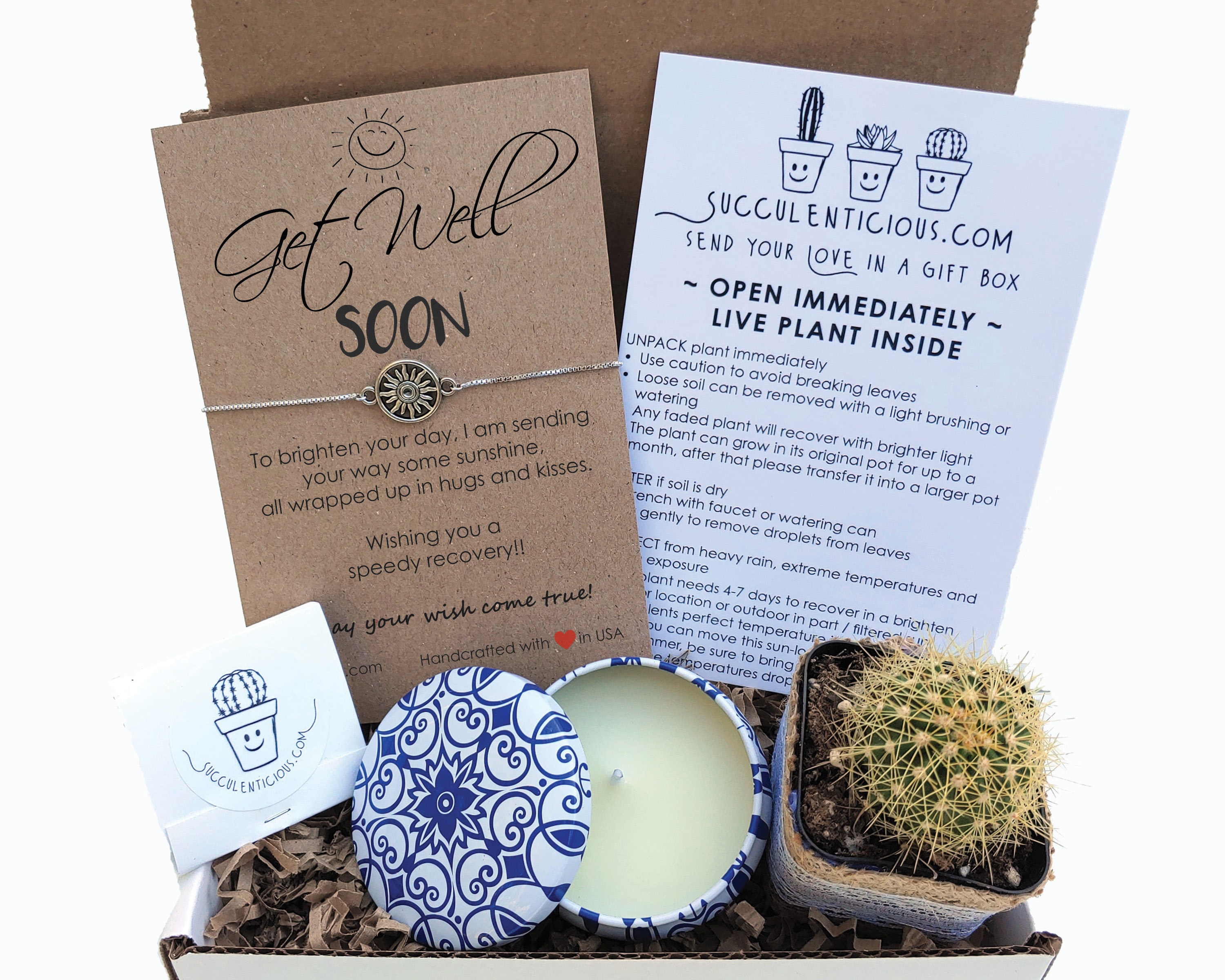 Get Well Soon Gift Box, Get Well Gift. Succulent Gift Box, Get Well ...