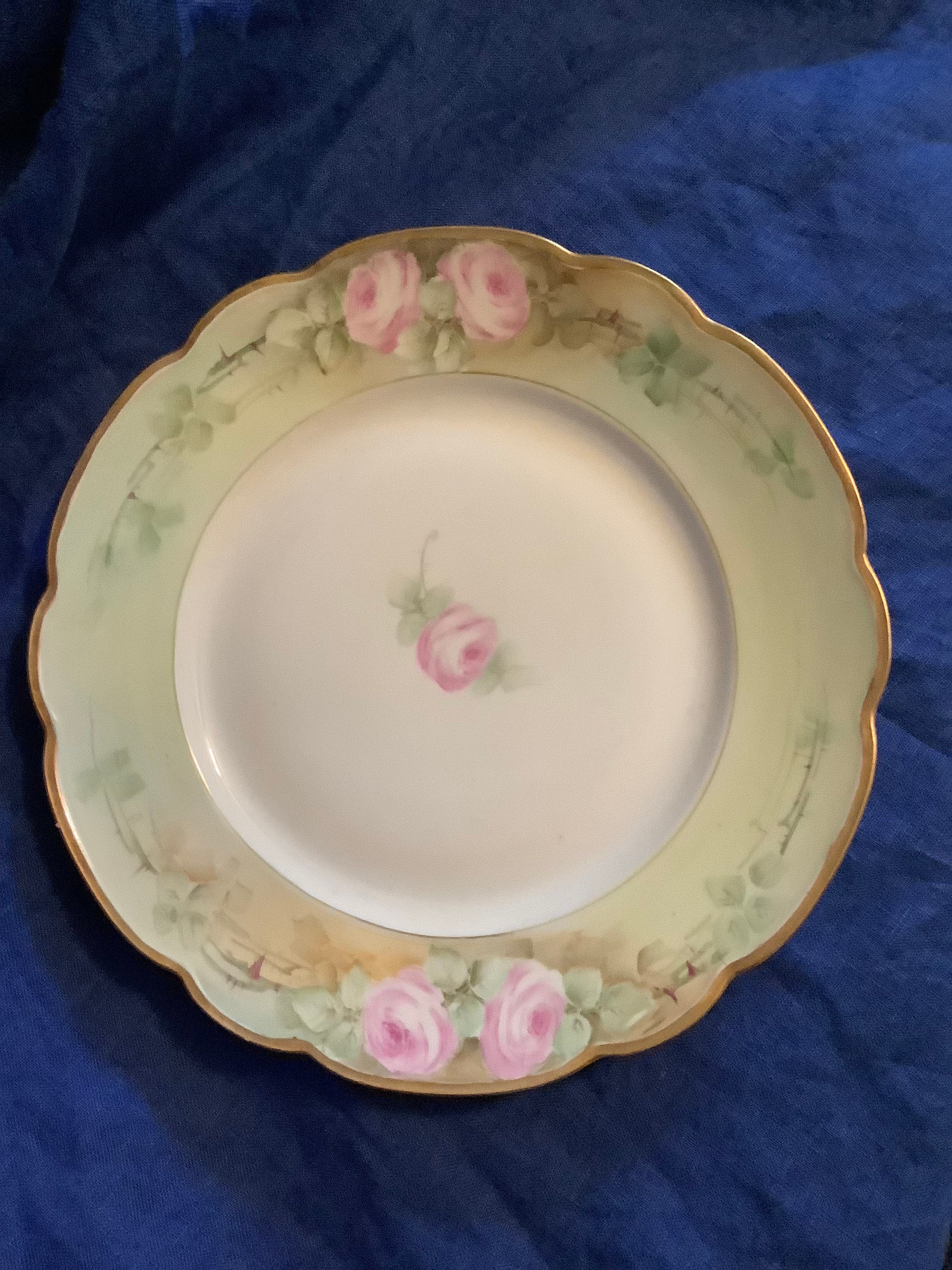 Antique MZ Austria Plate - Etsy