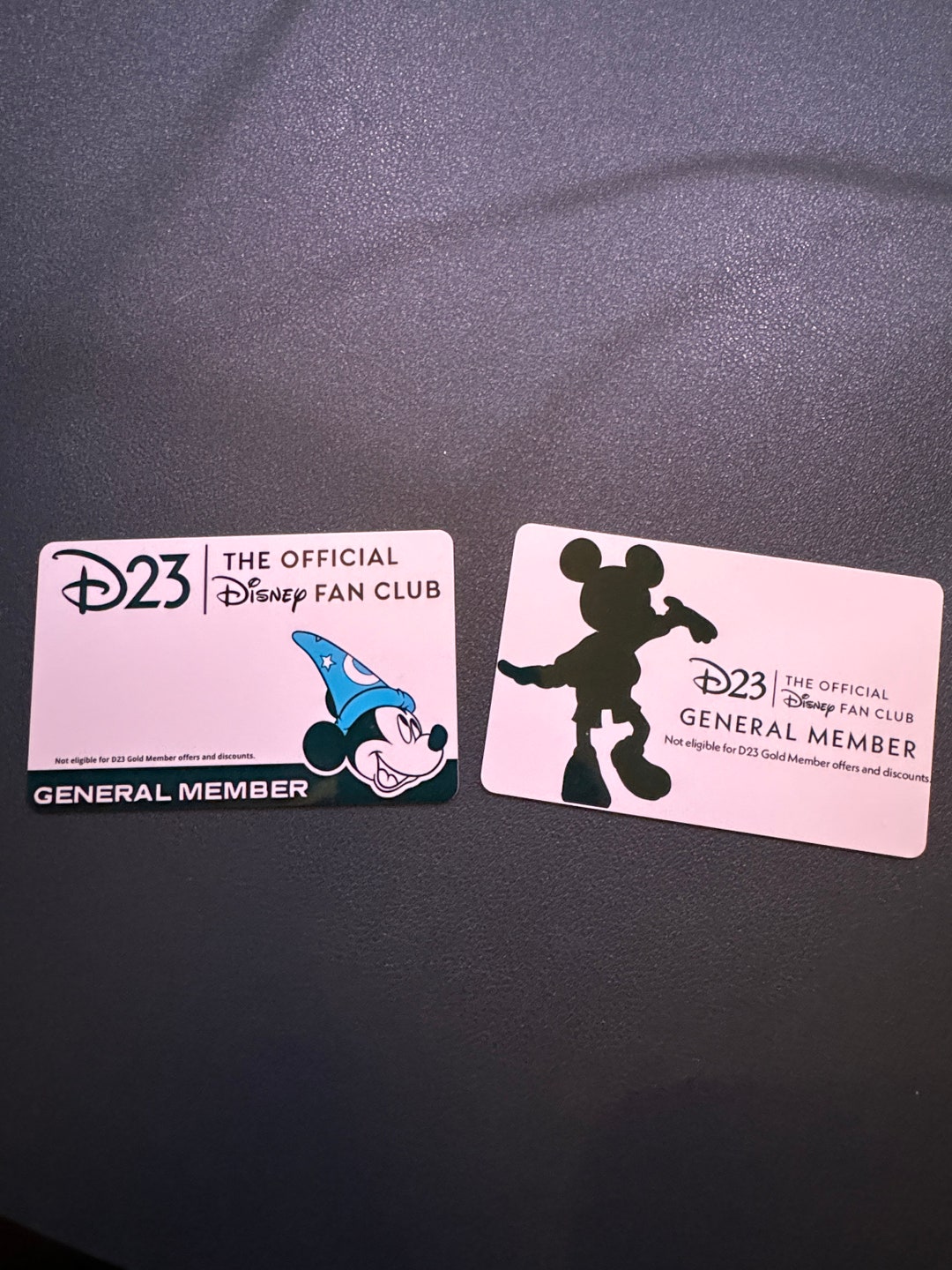 D23 General Membership Card - Etsy