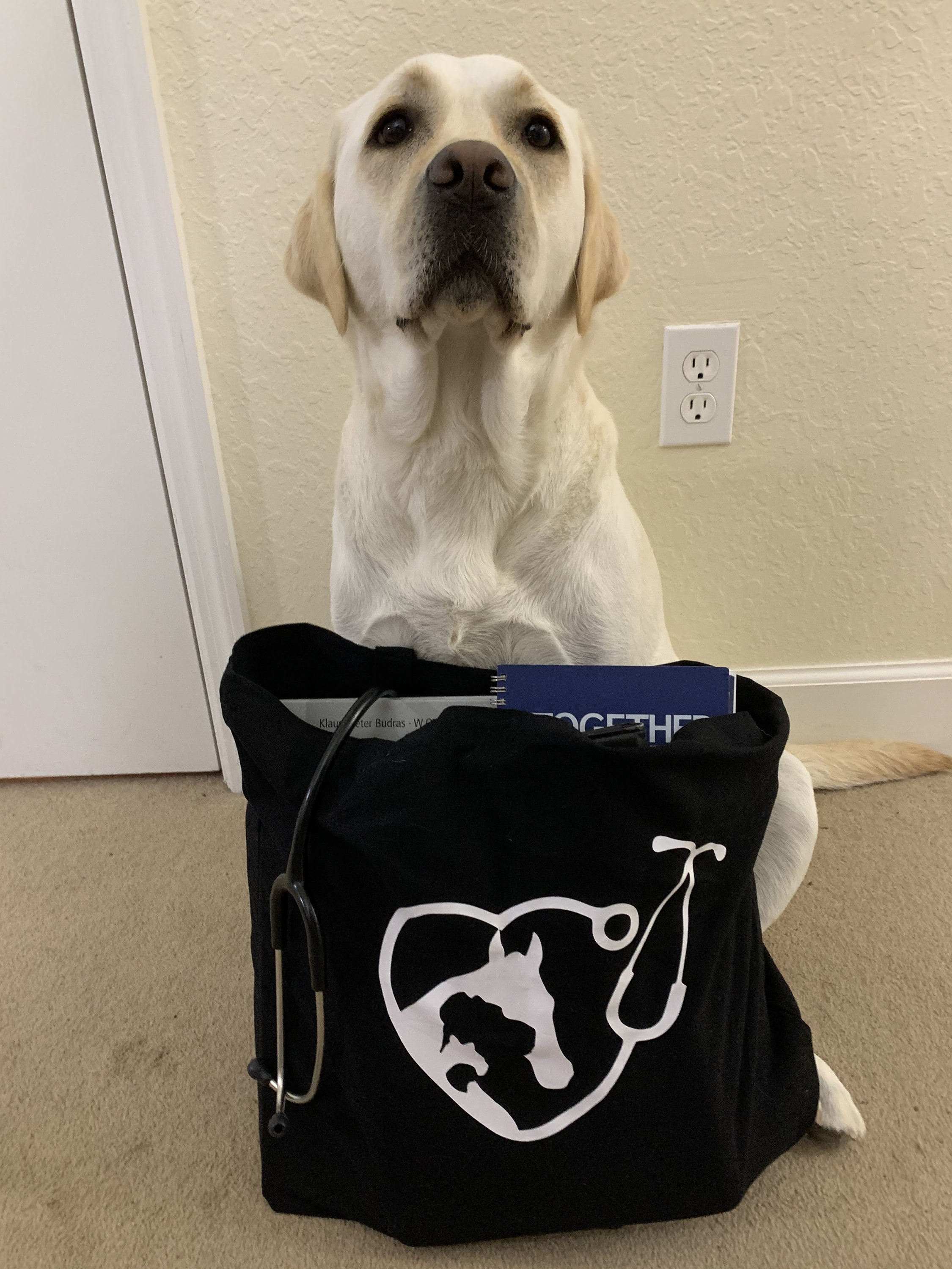 Custom Veterinary Tote Bag Custom Medicine Tote Bag - Etsy UK