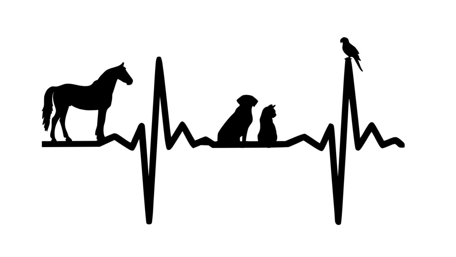 Veterinary Student Vinyl Decal Animal ECG Silhouette Decal - Etsy.de