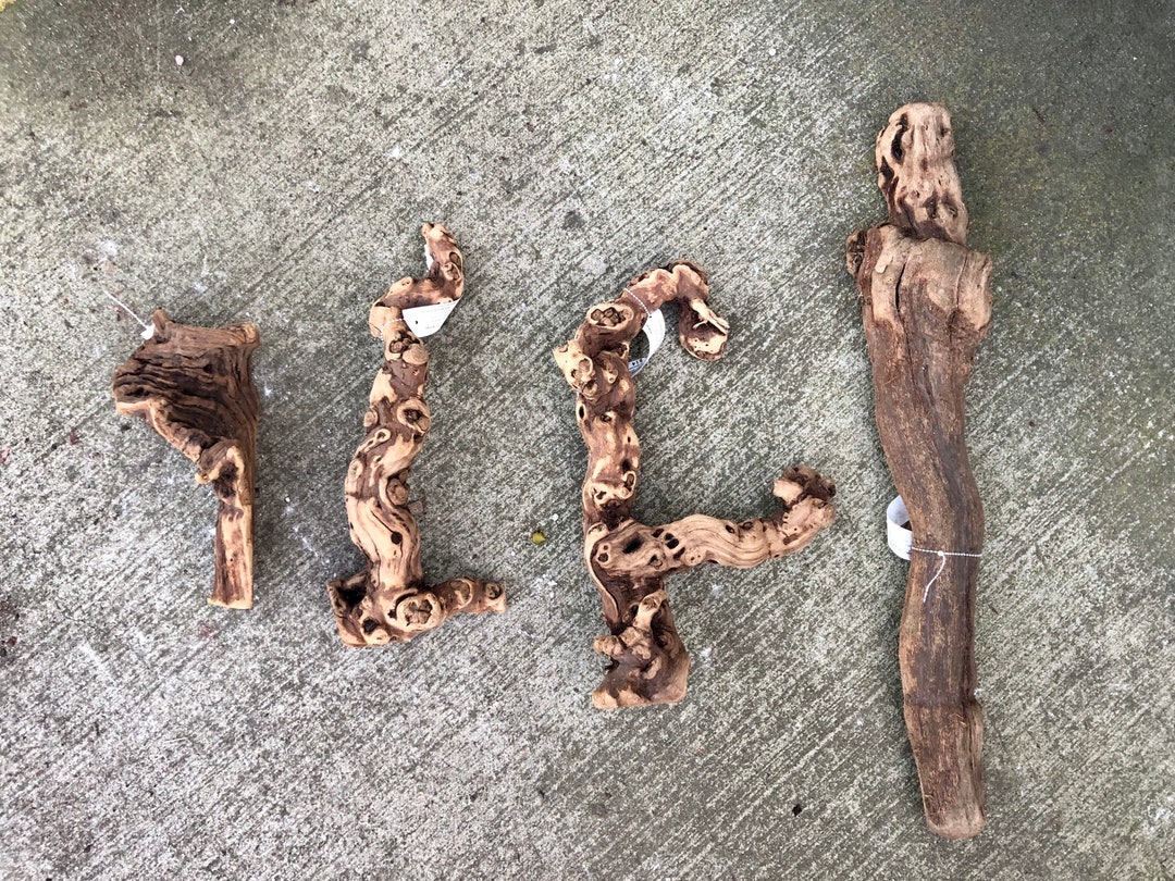 Natural California Grapewood (various Grape Vines) - Etsy