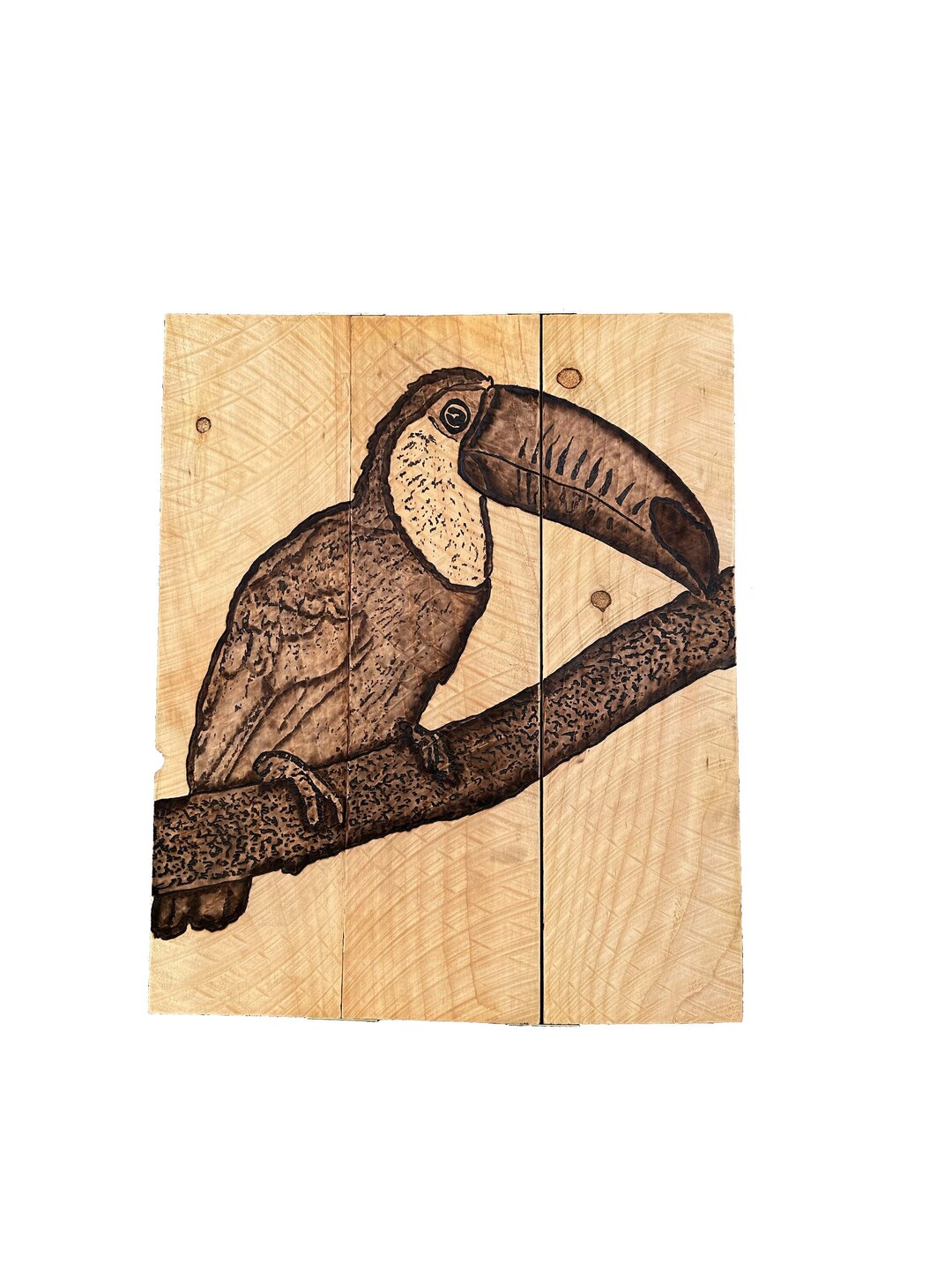 Pyrography Toco Toucan on Branch Triple Wood Burned Image - Etsy