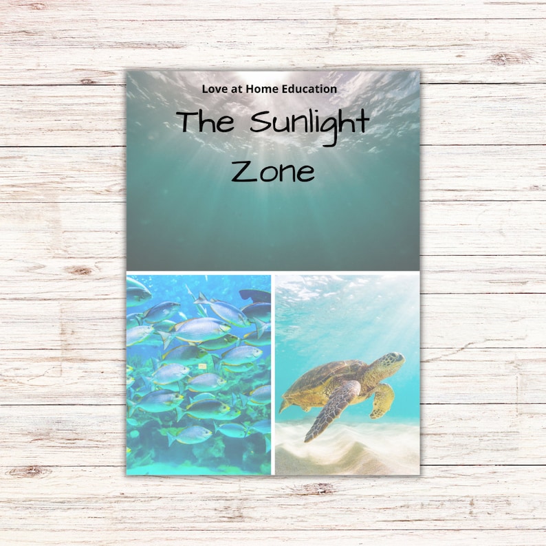 Ocean Biomes Coastal Habitats Unit 1 Elementary Science - Etsy