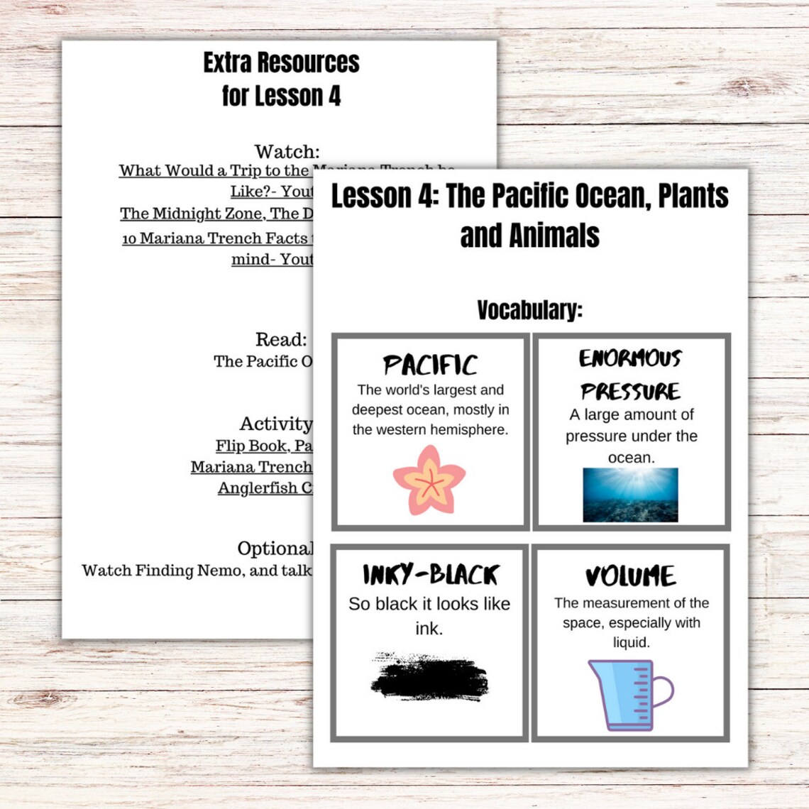 Ocean Biomes 4 Unit Bundle Elementary Science Homeschool Learning Unit ...