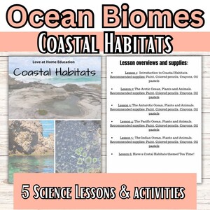 Ocean Biomes Unit Study – Elementary Homeschool Science (digital ...
