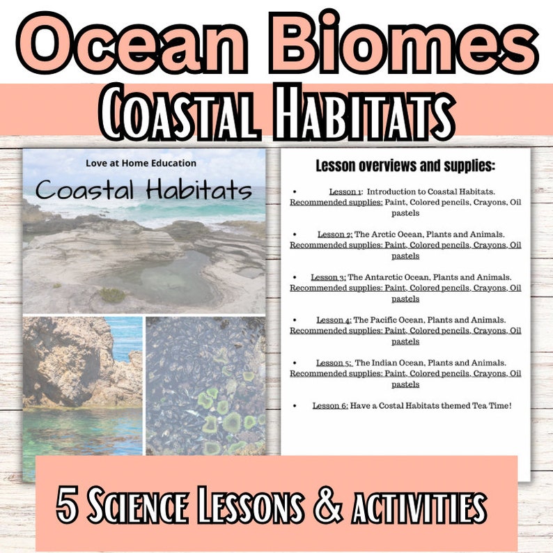 Ocean Biomes 4 Unit Bundle Elementary Science Homeschool Learning Unit ...