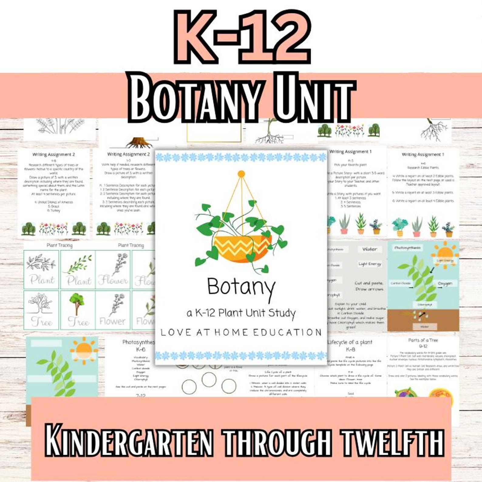 K-12 Botany Unit Study, Homeschool Science Curriculum and Resources ...
