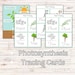 K-12 Botany Unit Study, Homeschool Curriculum (digital Download) - Etsy