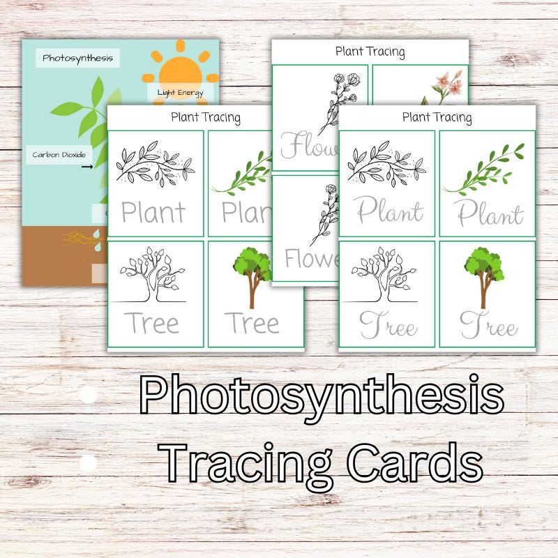 K-12 Botany Unit Study, Homeschool Curriculum (digital Download) - Etsy