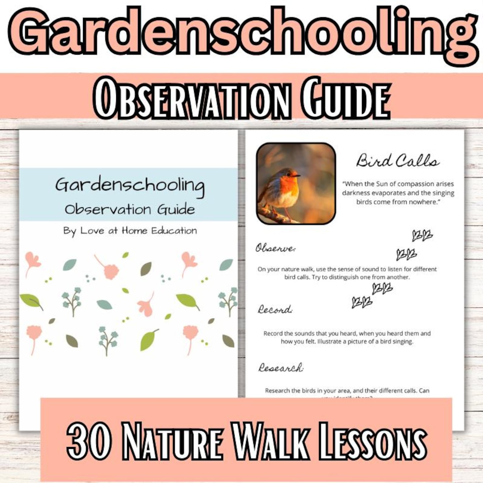 K-12 Botany Unit Study, Homeschool Science Curriculum and Resources ...