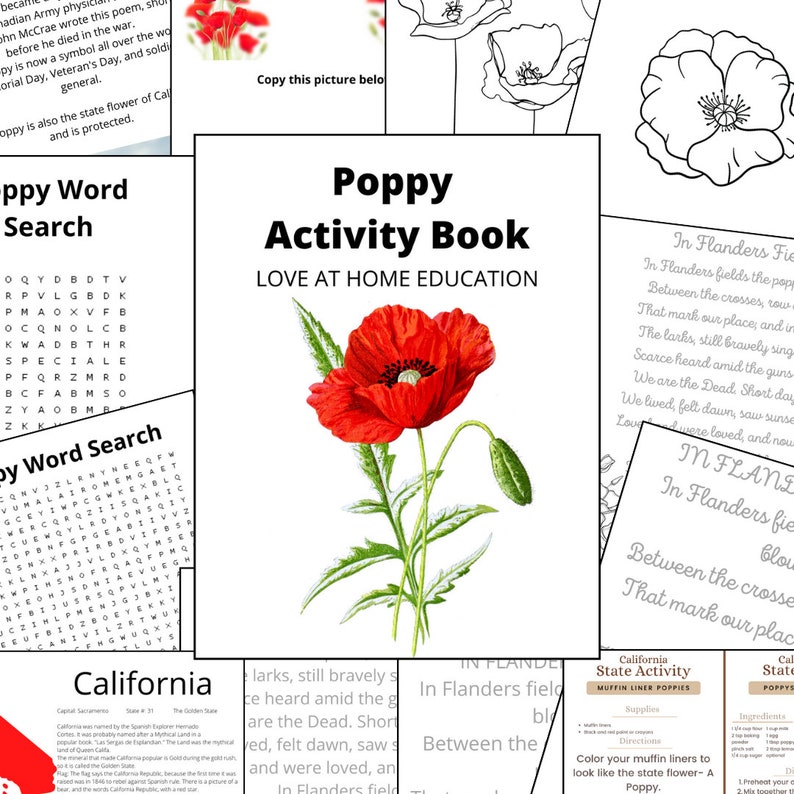 Poppy Activity Book (remembrance Day, Memorial Day, Veterans' Day ...