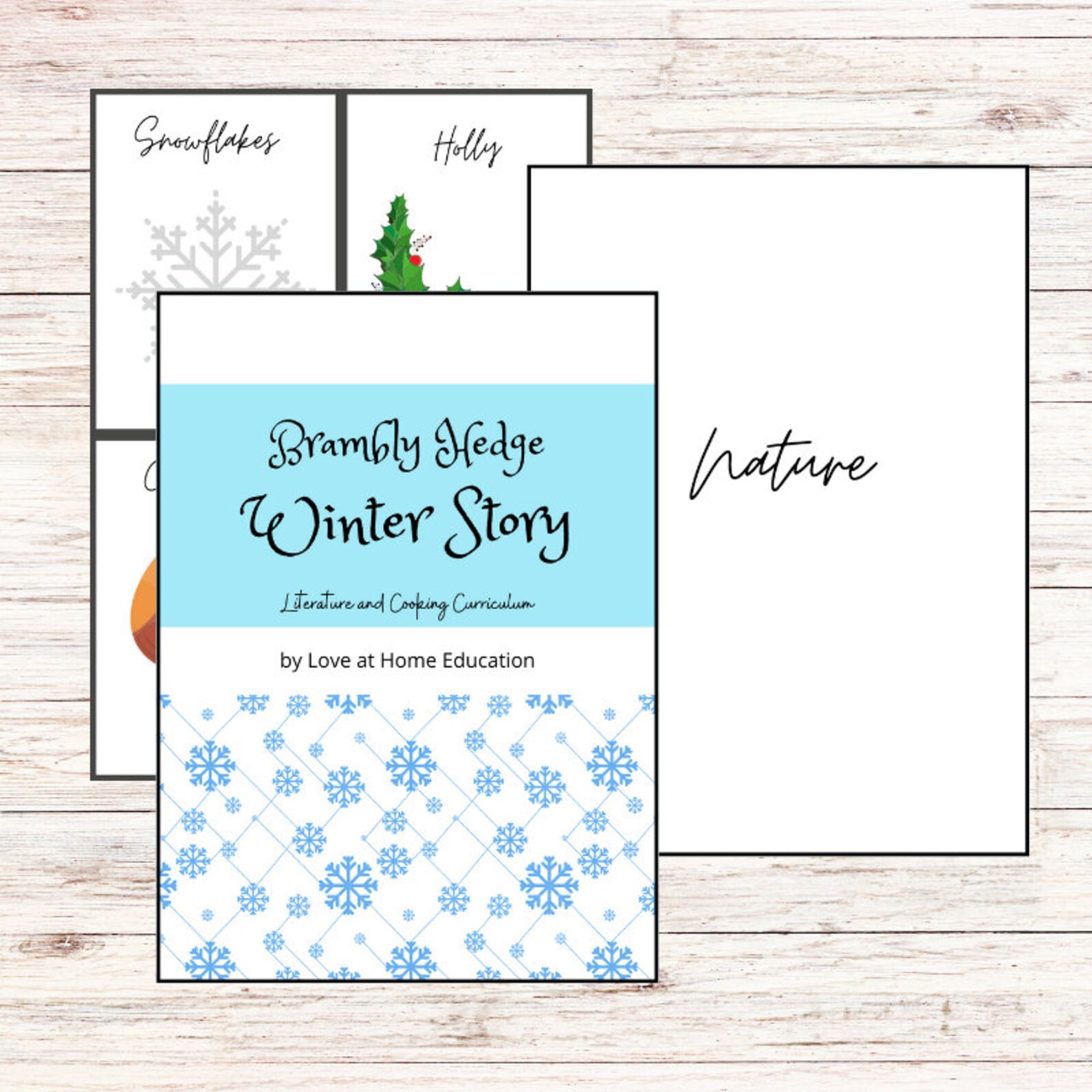 Brambly Hedge Winter Story Book Guide Homeschool Book Guide - Etsy